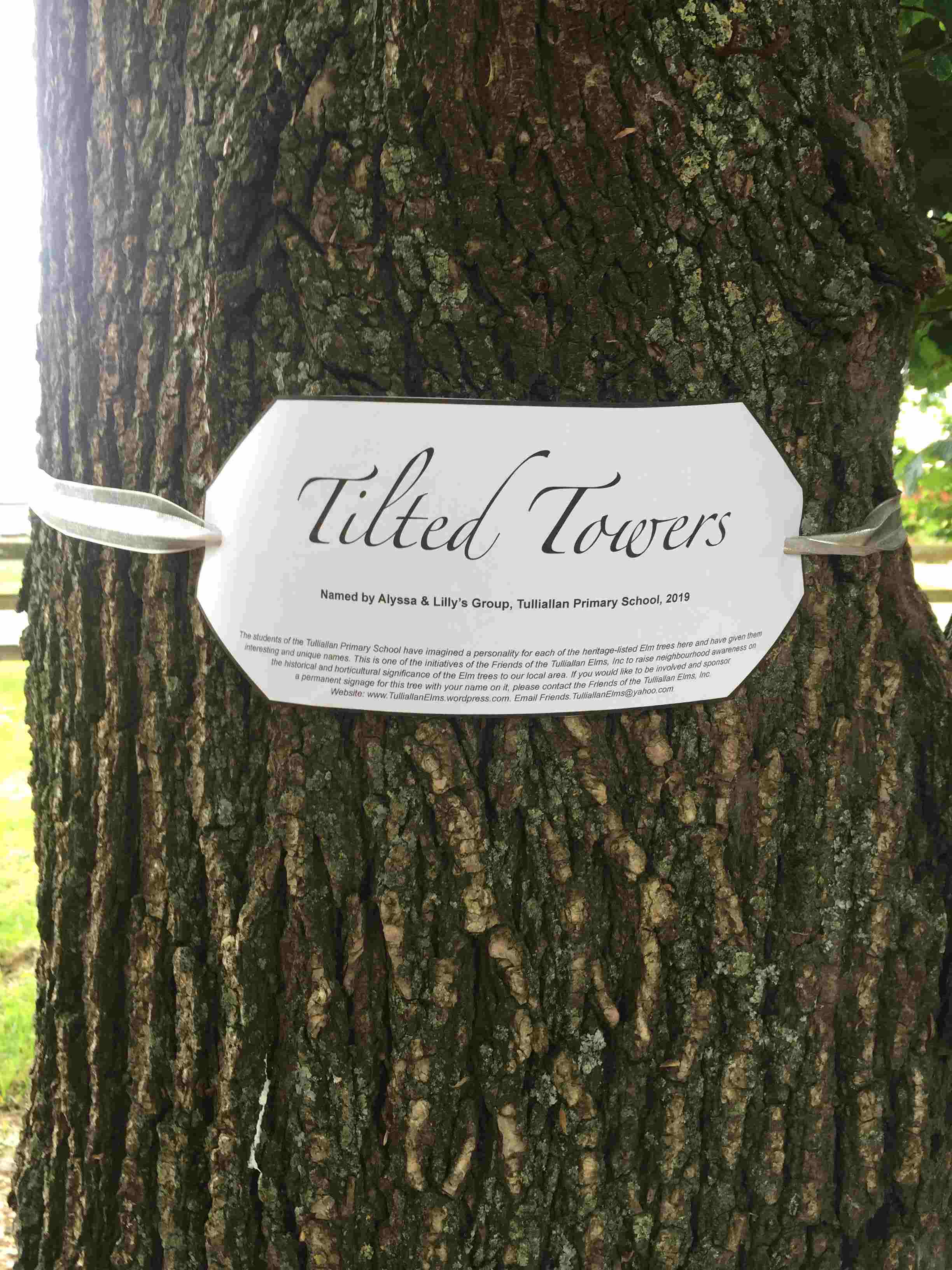Tree Labelling Activity – Friends of the Tulliallan Elms