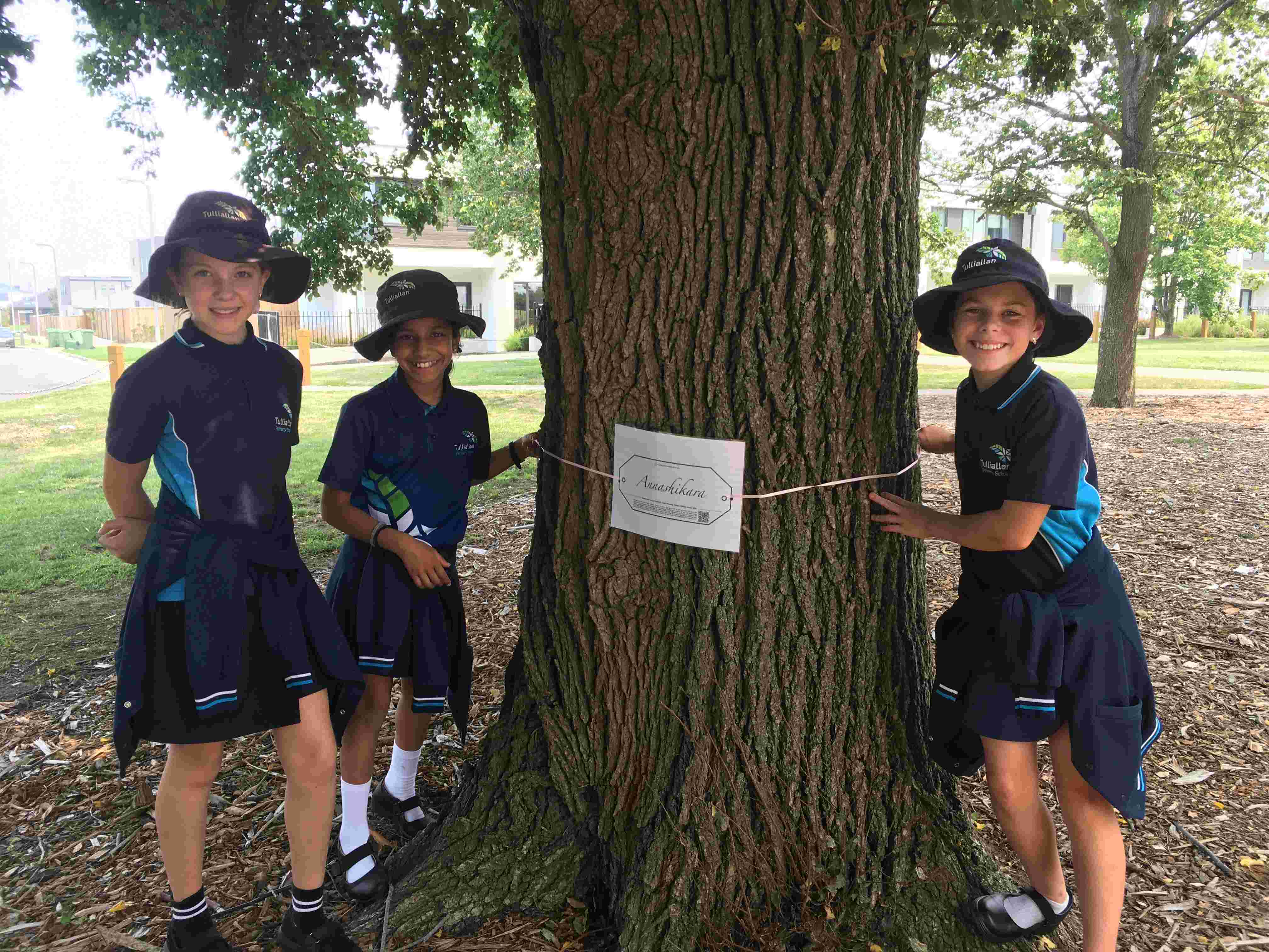 Tree Labelling Activity – Friends of the Tulliallan Elms