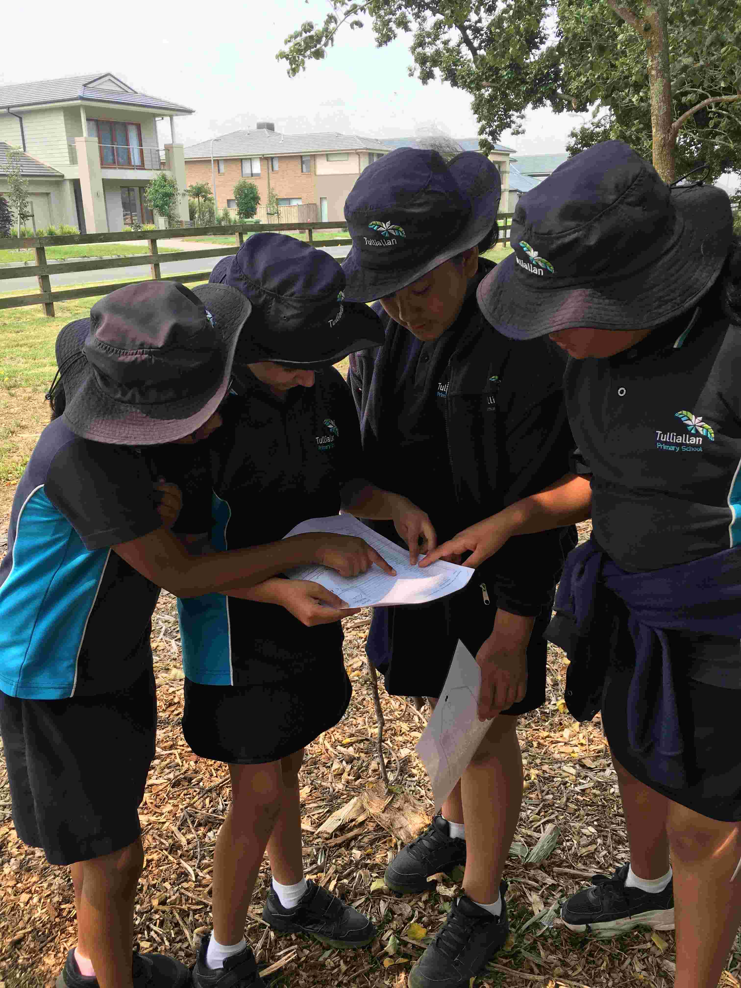 Tree Labelling Activity – Friends of the Tulliallan Elms