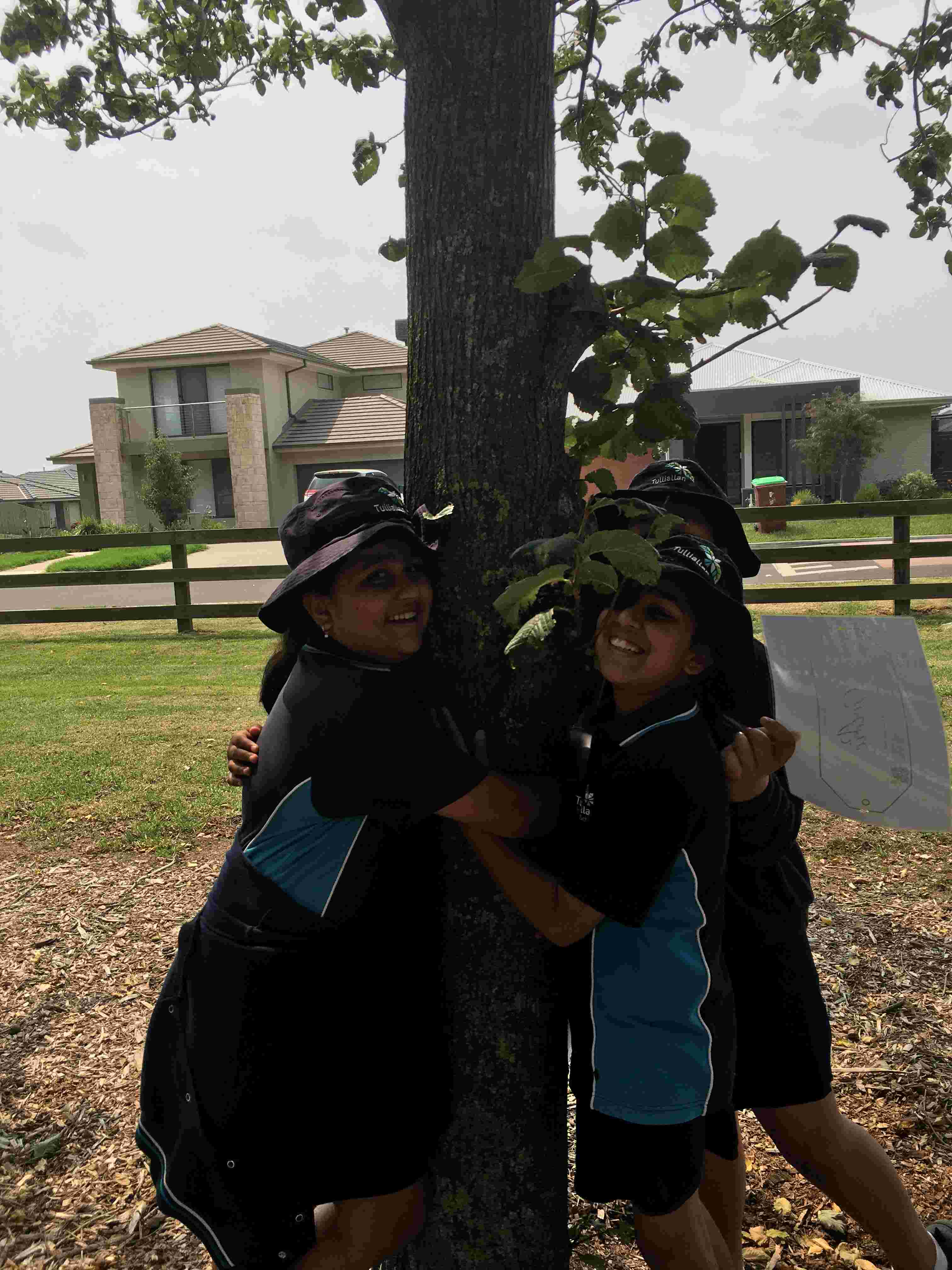 Tree Labelling Activity – Friends of the Tulliallan Elms